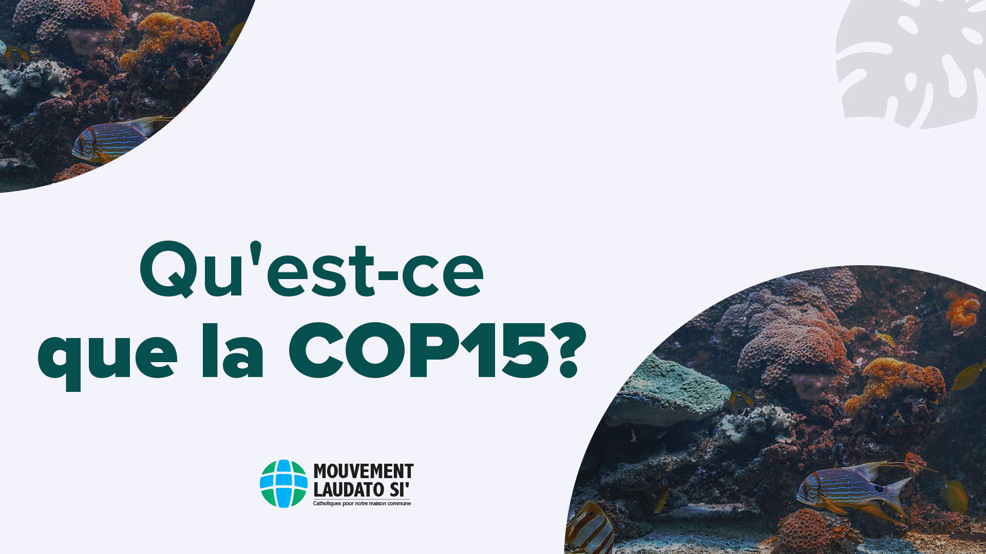 Qu’est-ce que la COP 15 ? - Laudato Si' Movement